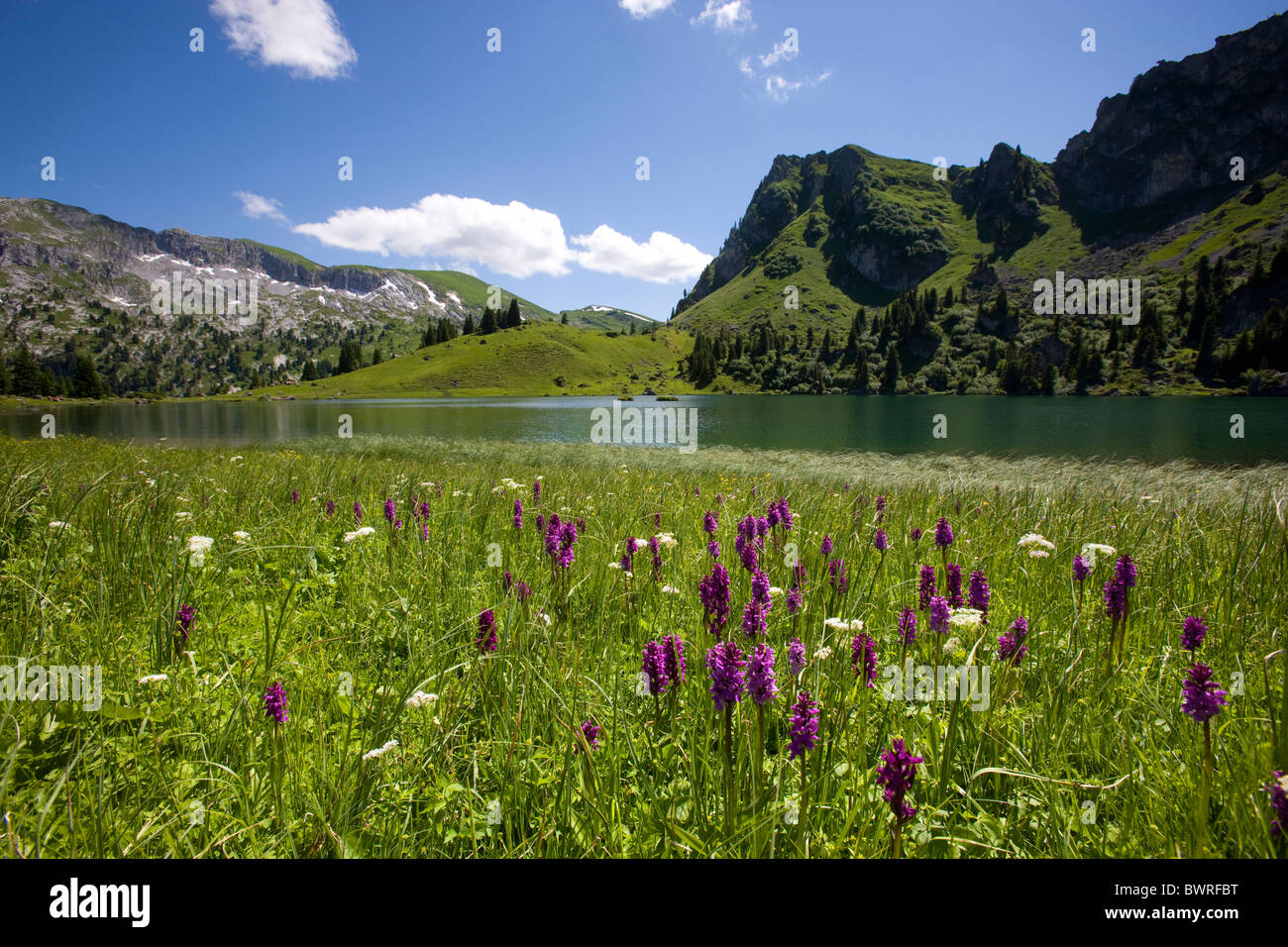 Switzerland Europe Seebergsee Mountain Mountains Alps Alpine Canton ...