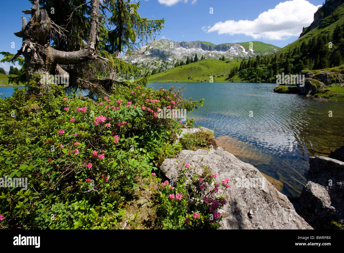 10844525 hi-res stock photography and images - Alamy