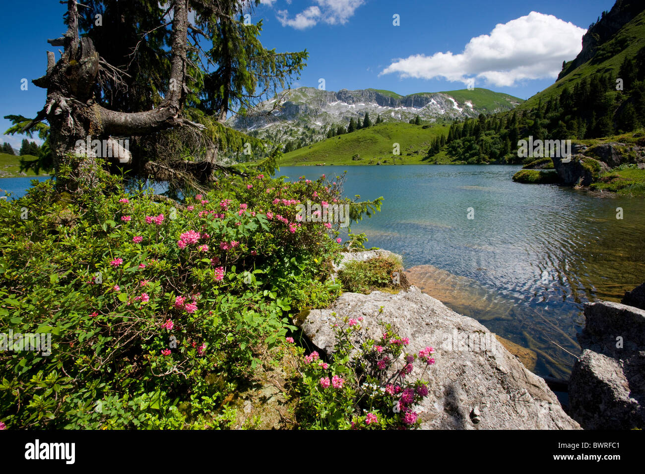 Seebergsee hi-res stock photography and images - Alamy