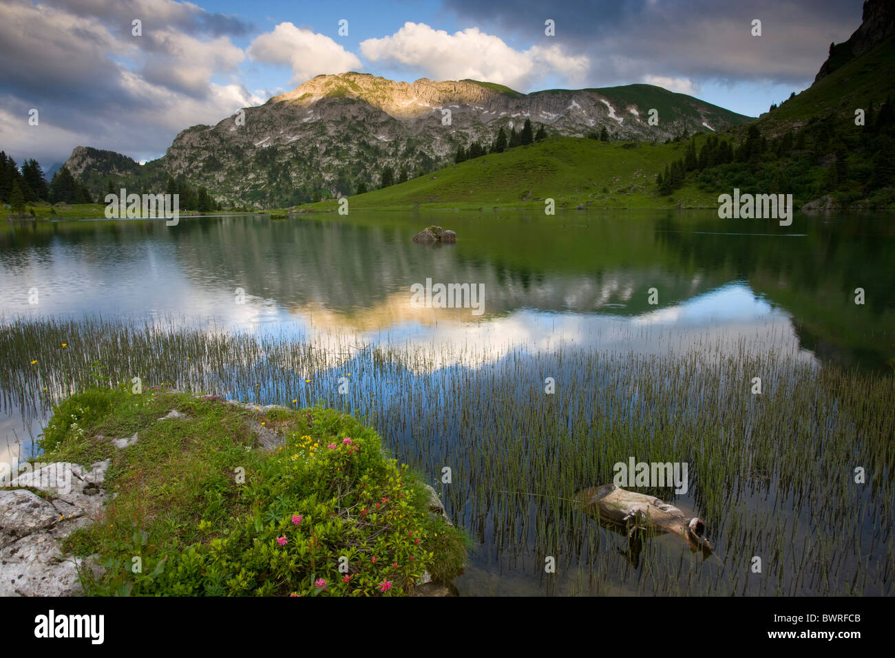 Seebergsee hi-res stock photography and images - Alamy