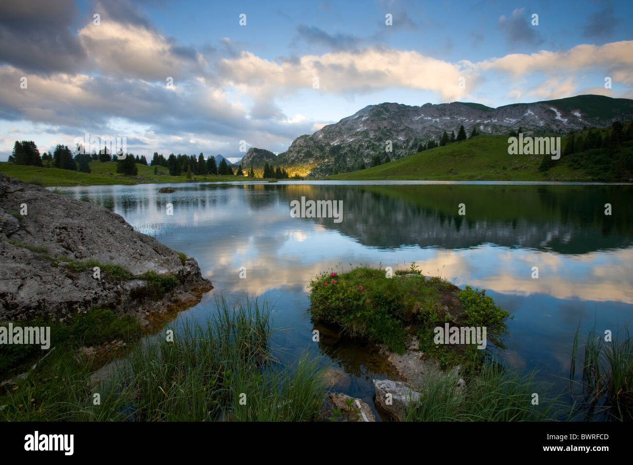 Seebergsee Stock Photos & Seebergsee Stock Images - Alamy