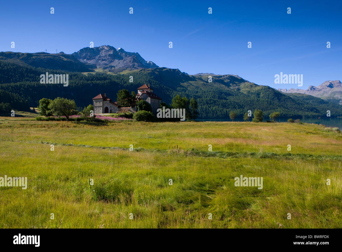 Switzerland Europe Silvaplana Canton Grisons Graubunden Grisons Summer ...