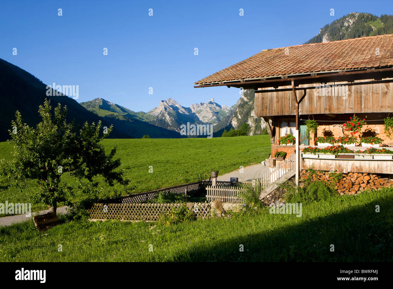 Switzerland simmental valley High Resolution Stock Photography and ...