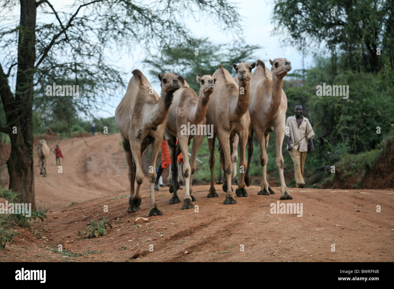 Africa Kenya Tradition Traditional Africans African Outdoor Outdoors ...