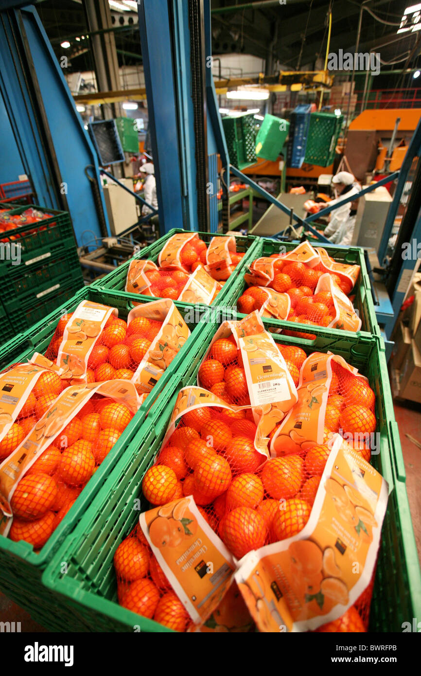 Fruit processing hi-res stock photography and images - Alamy