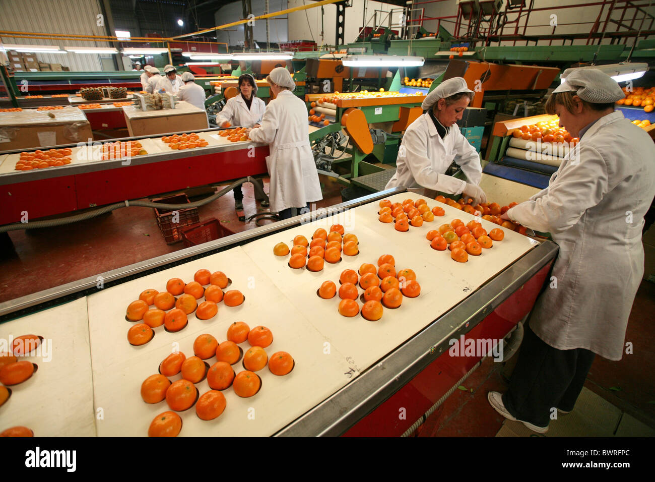 Food Factory Inside Inside The Factory Wikipedia