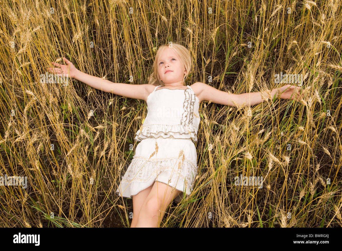 Image of youthful girl lying in wheat with peaceful expression Stock ...