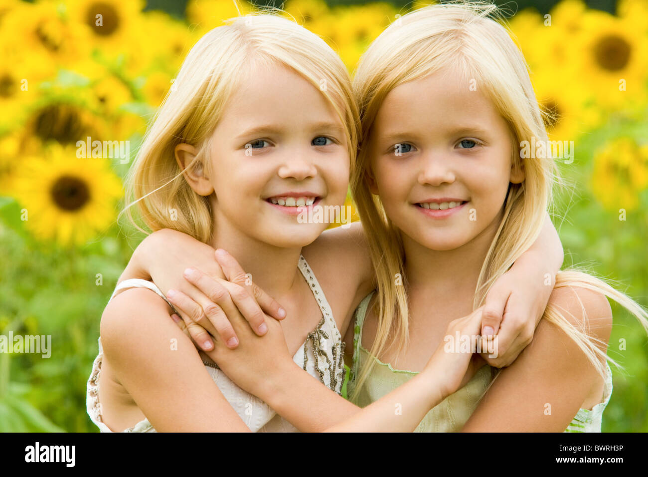 Portrait of cute twins embracing each other on background of sunflower ...