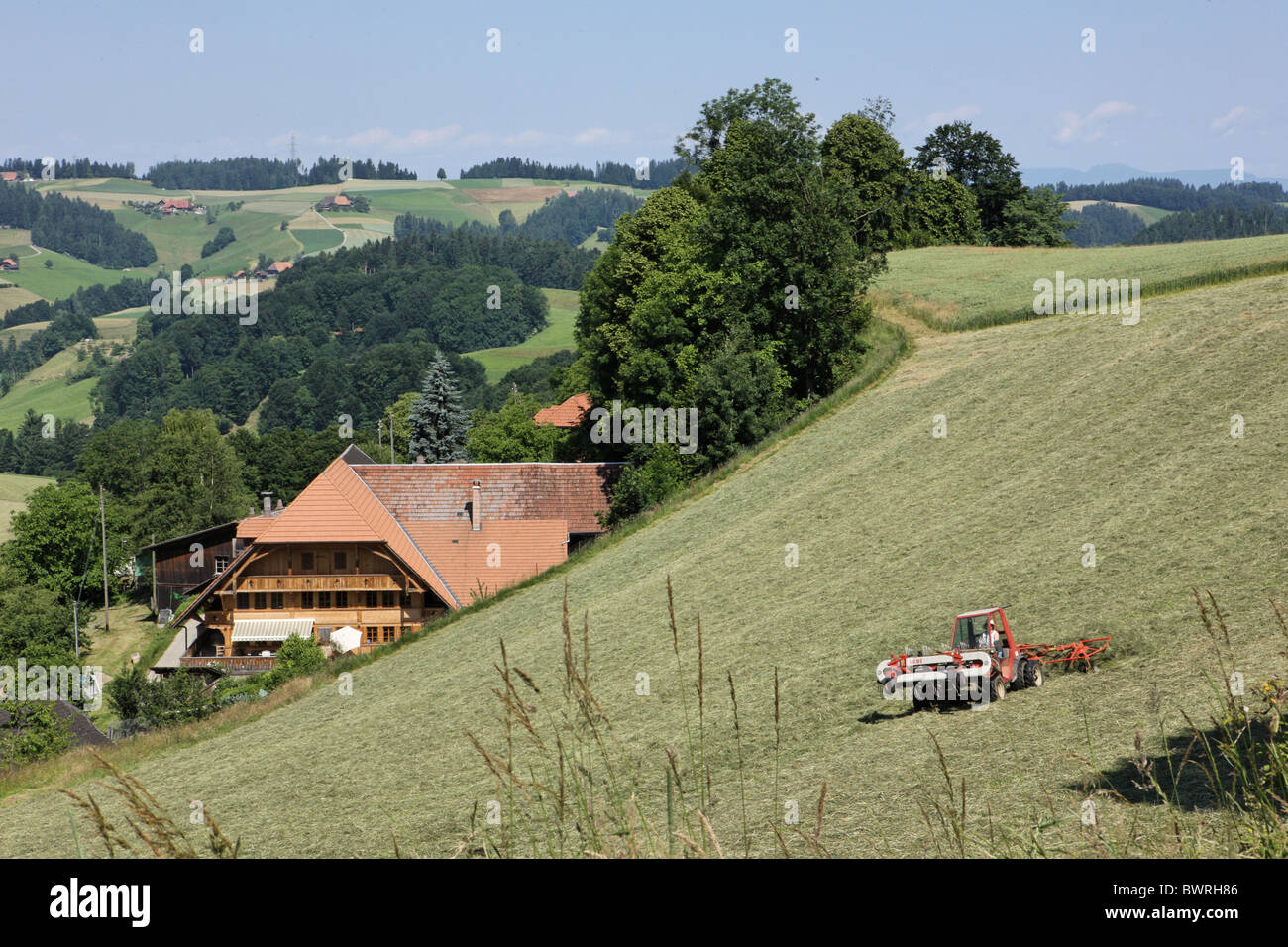 Emmental Region High Resolution Stock Photography and Images - Alamy