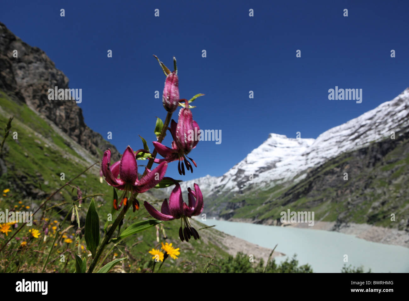 Switzerland Europe Val de Bagnes Lac de Mauvoisin Outdoor Outdoors ...