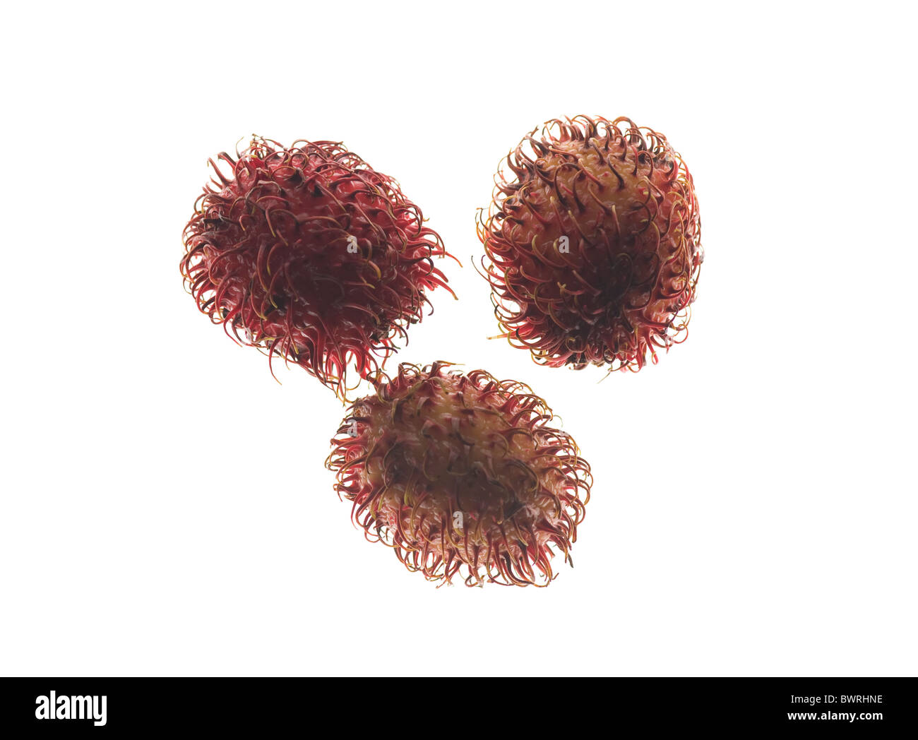 Motivation intelligence Cut Out Stock Images & Pictures - Alamy