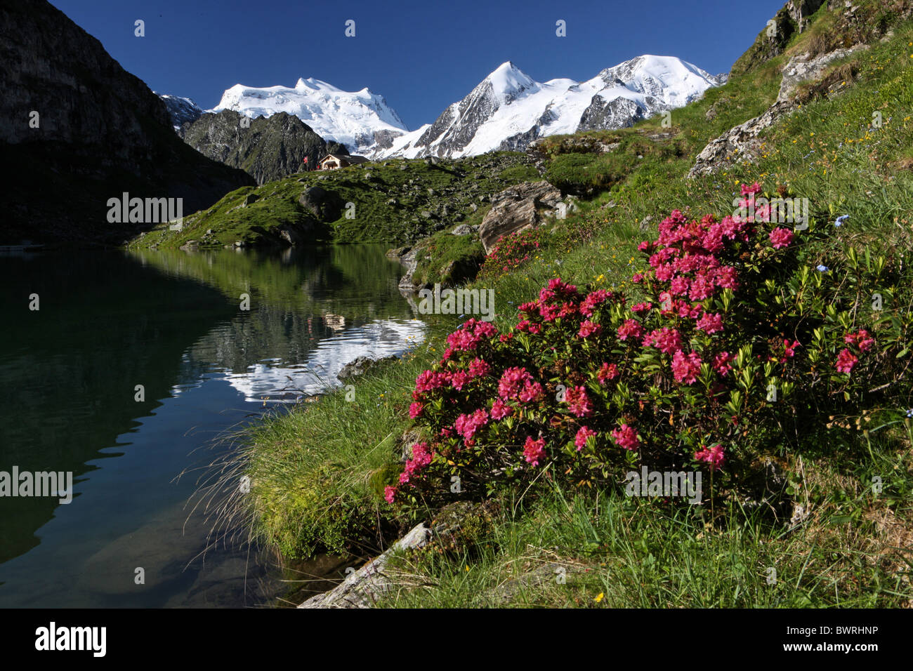 Switzerland Europe Canton Valais Outdoor Outdoors Outside landscape ...