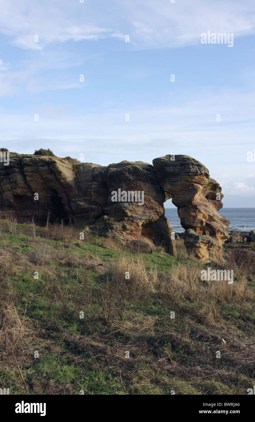 Caiplie Caves sandstone rock formation on Fife Coastal Path Scotland ...
