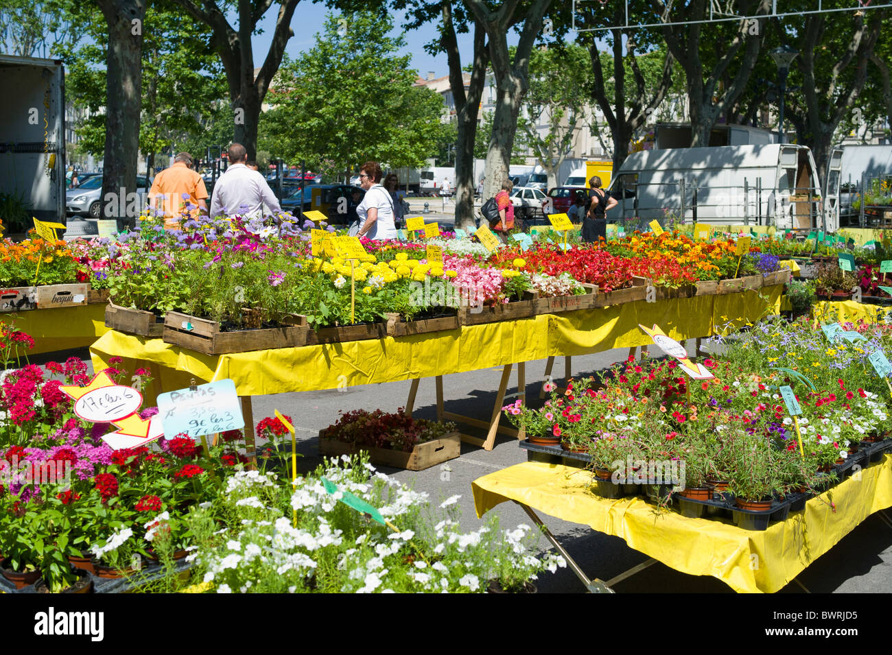 Flower Market in the Allées Paul Riquet Beziers France Stock Photo - Alamy