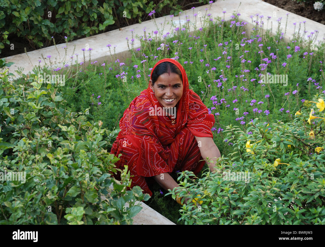 Indian gardener hi-res stock photography and images - Alamy