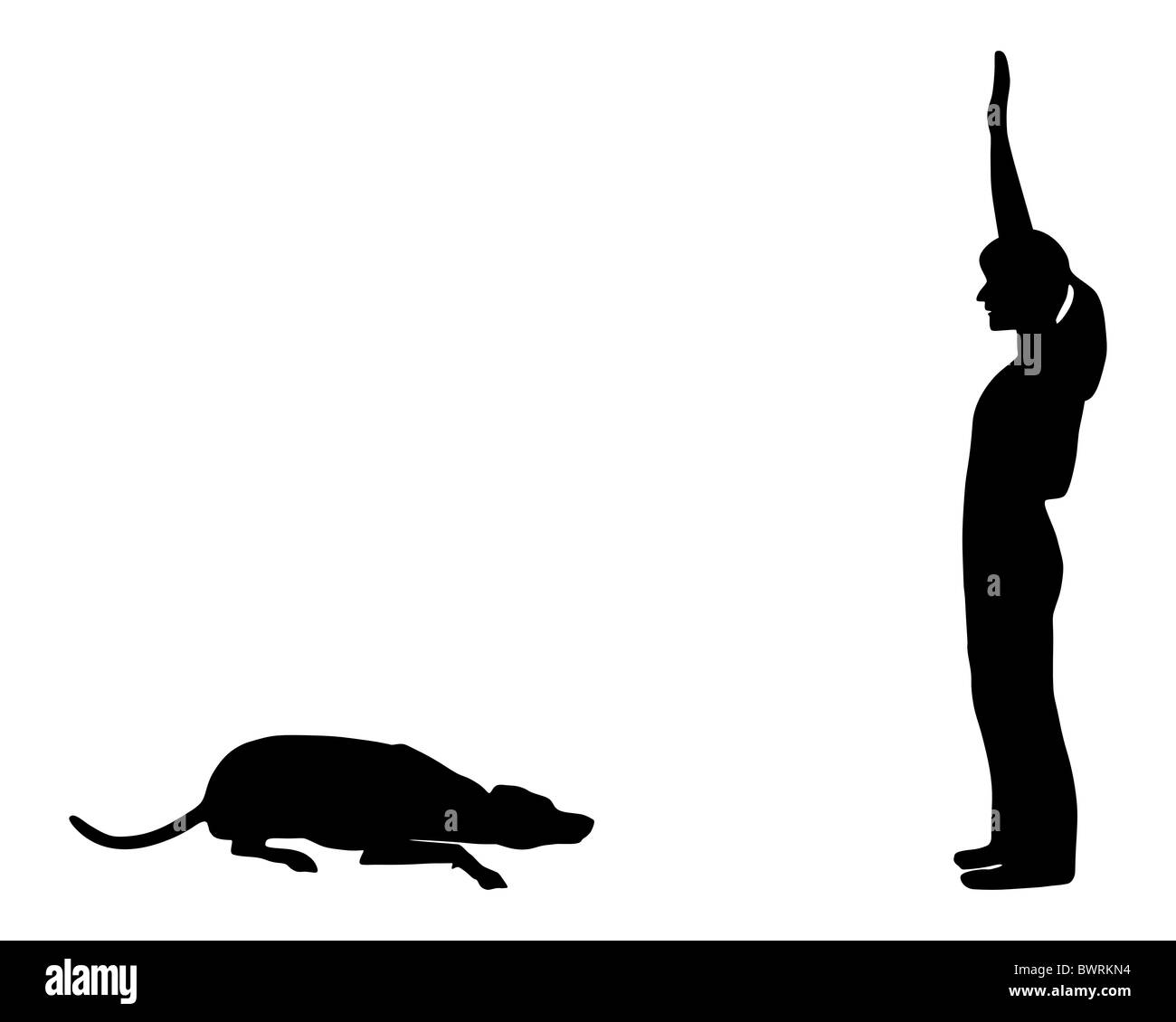 Dog training obedience command Black and White Stock Photos & Images ...