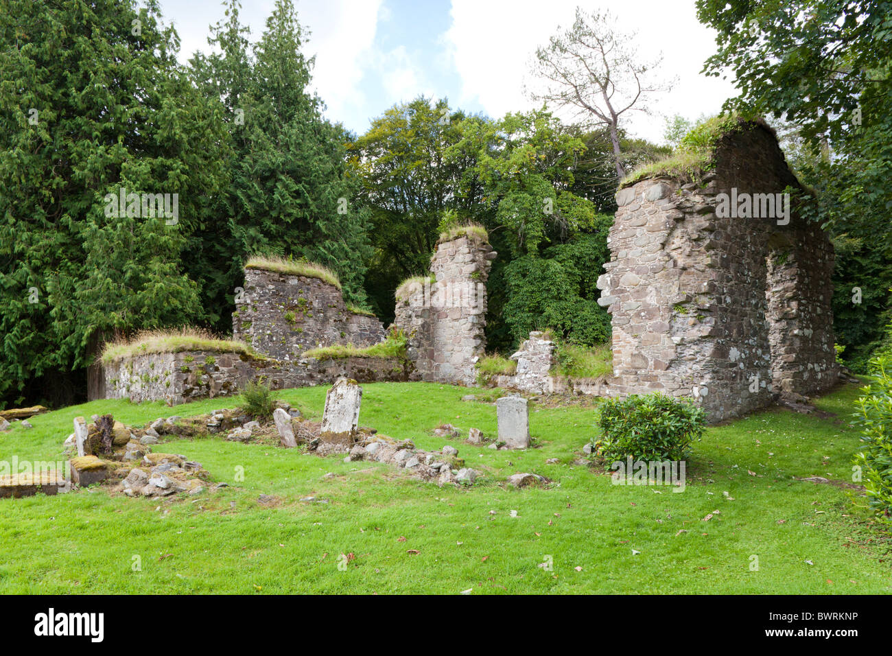 Saddell abbey hi-res stock photography and images - Alamy