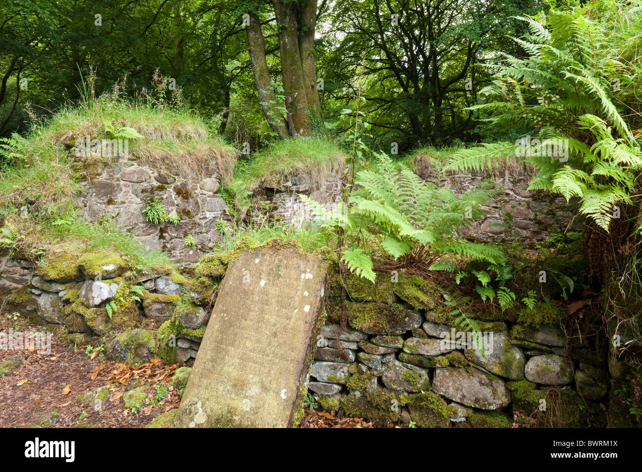 Saddell abbey scotland hi-res stock photography and images - Alamy