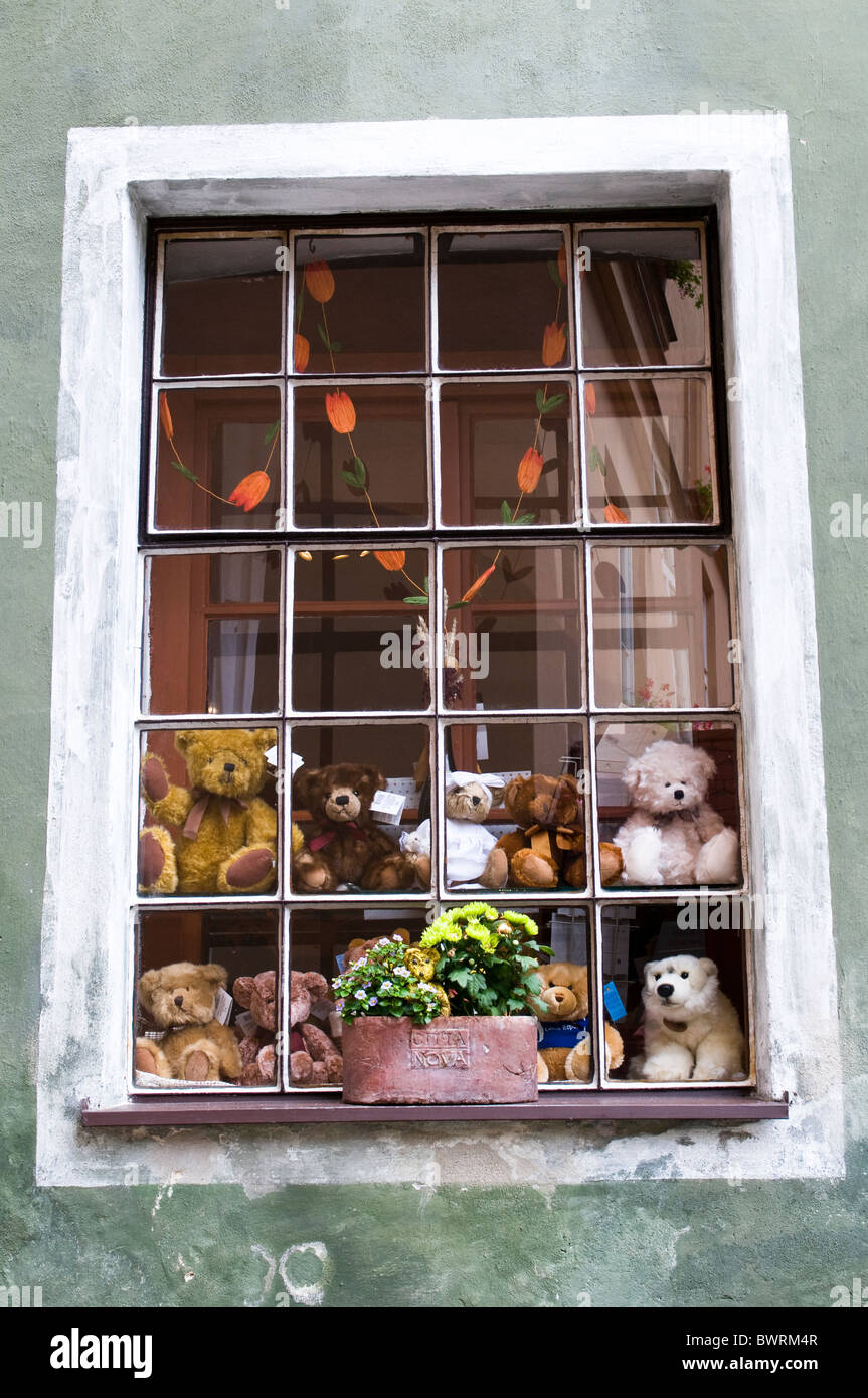 Teddy bear in shop window hi-res stock photography and images - Alamy