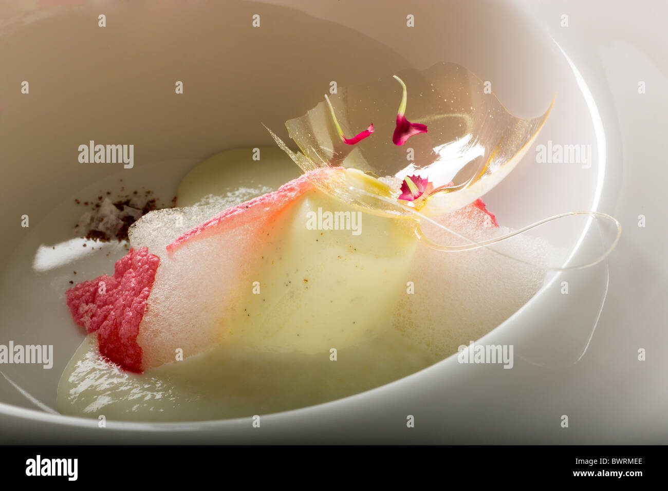 Panna Cotta with Asparagus Foam, Liquorice Air and Beet Meringue ...