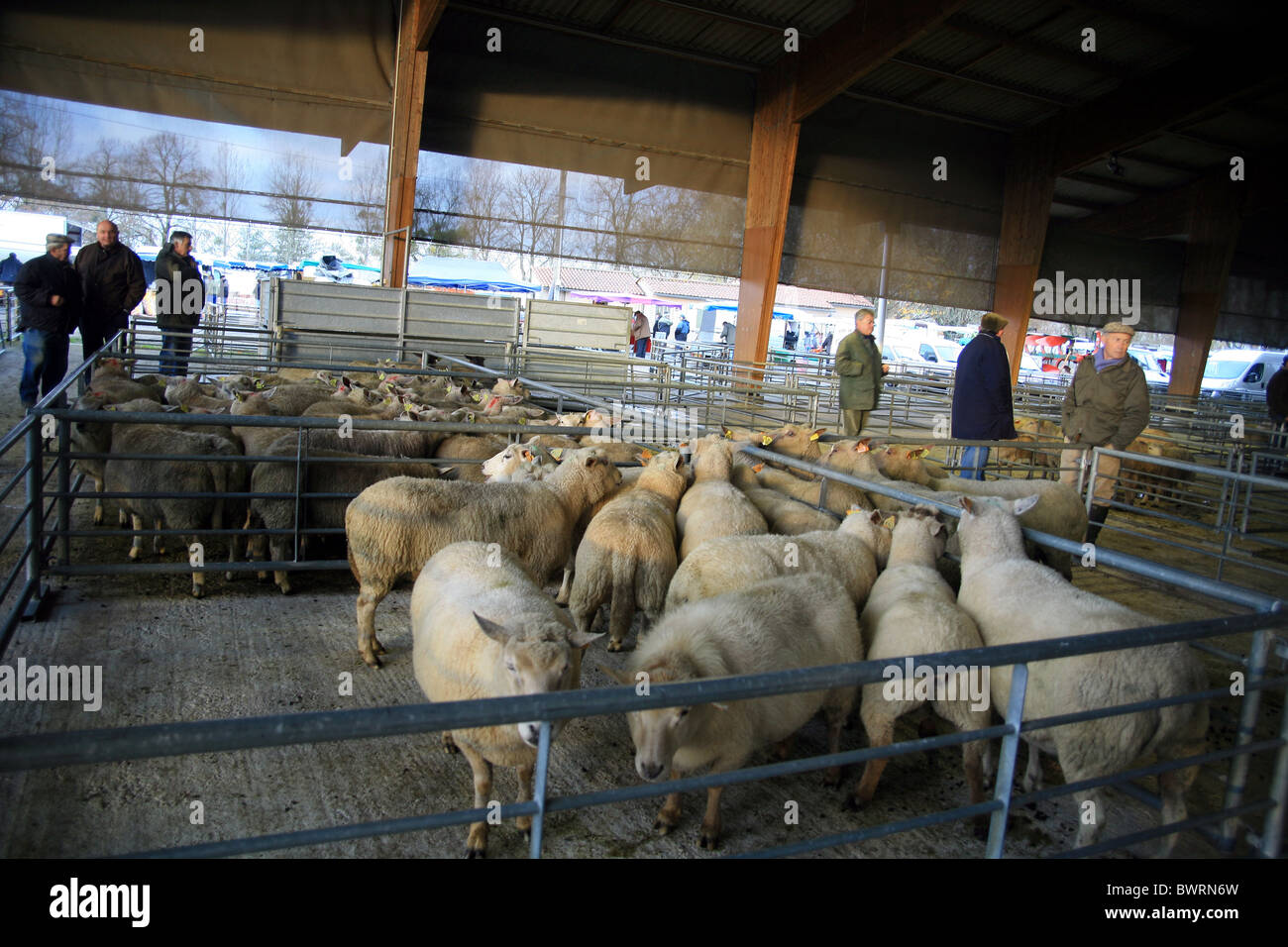 French sheep farmers hi-res stock photography and images - Alamy