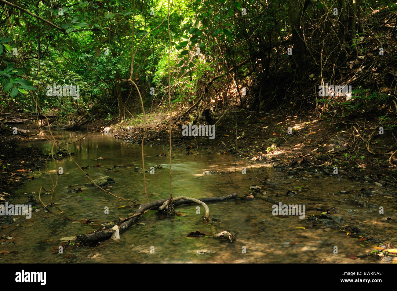 Bali monsoon hi-res stock photography and images - Alamy