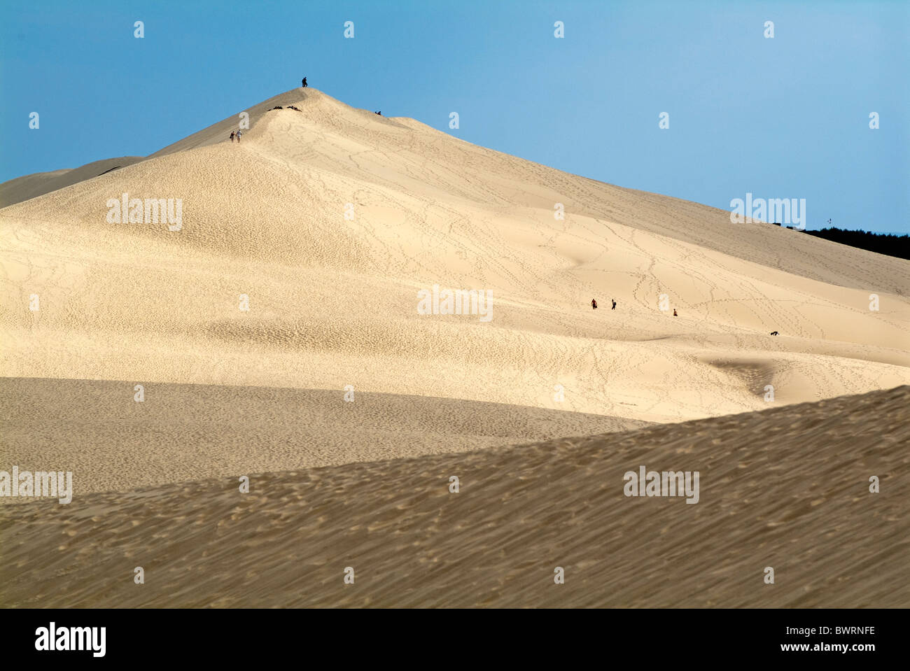 Tourists walking over the Great Dune of Pyla, France Stock Photo - Alamy