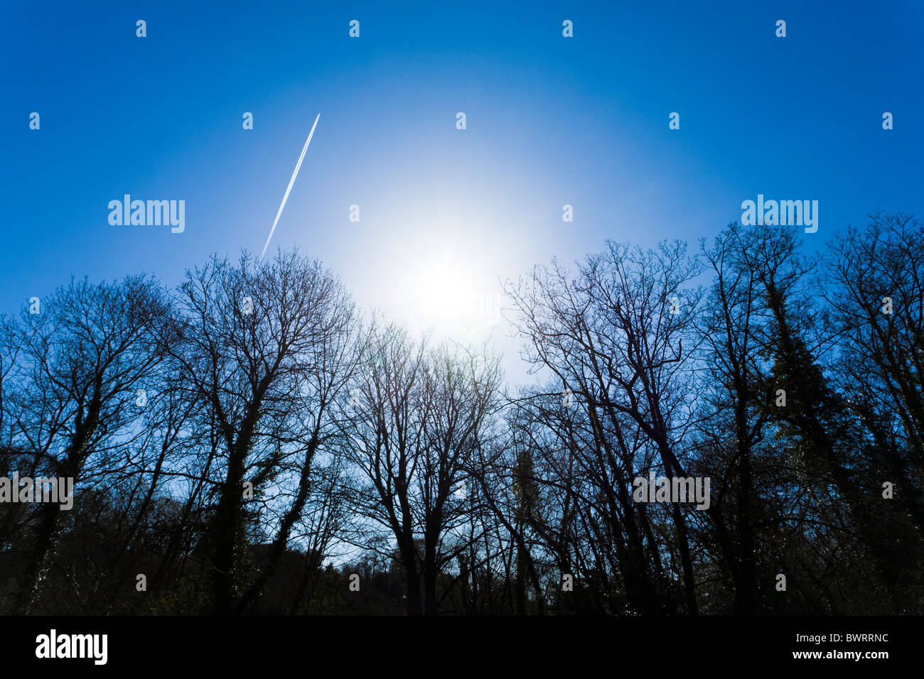 Jet aircraft over winter woodland trees Stock Photo - Alamy