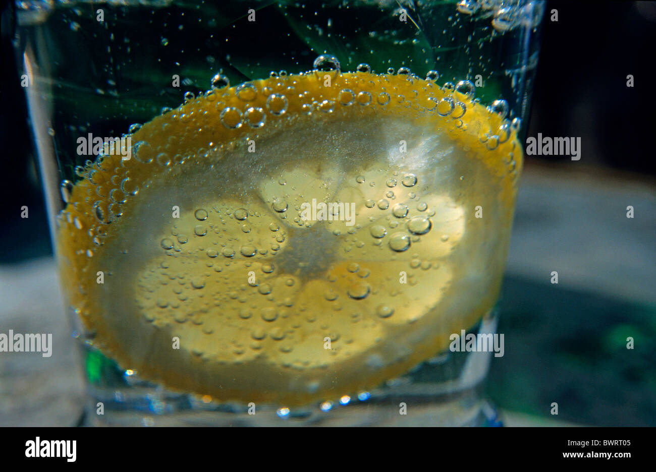 Lemon slice floating in a fizzy drink Stock Photo - Alamy