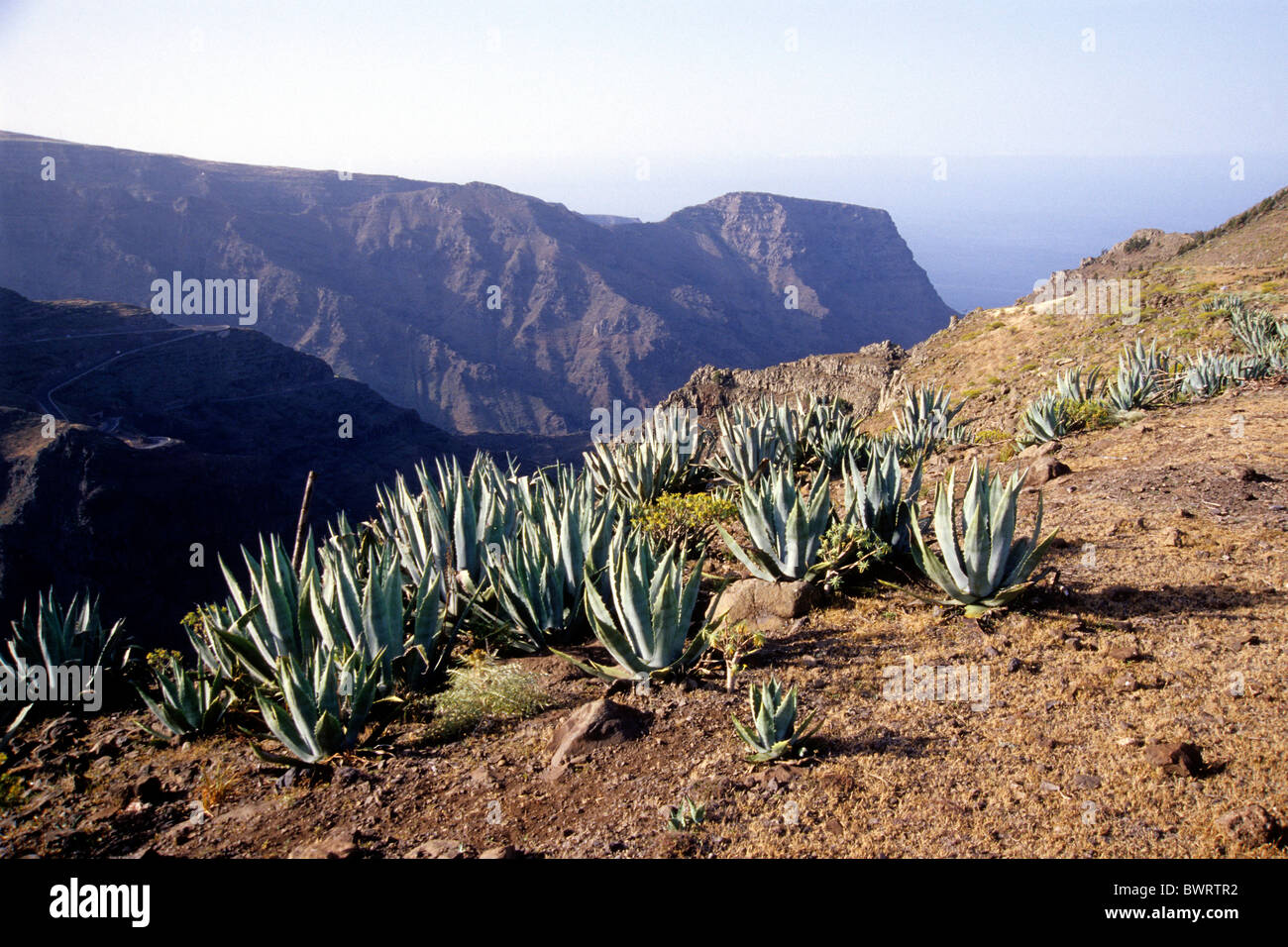 Risco de la merica hi-res stock photography and images - Alamy