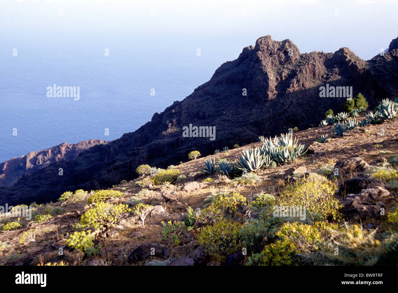 Risco de la merica hi-res stock photography and images - Alamy