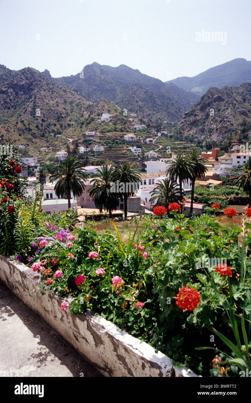 Houses and green terraces on the mountainside, landscape with flowers ...