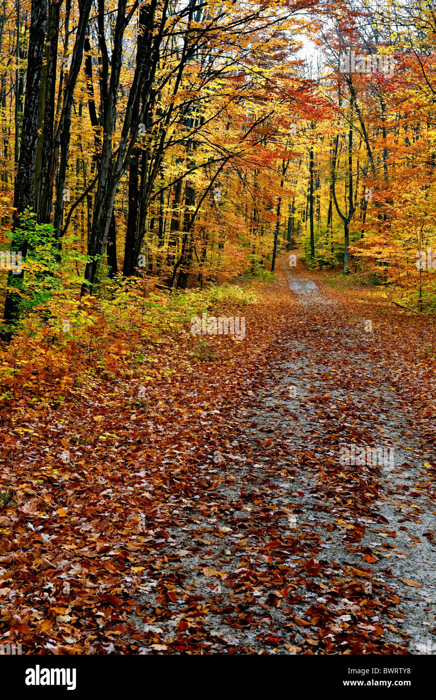 Midwest colors in autumn hi-res stock photography and images - Alamy