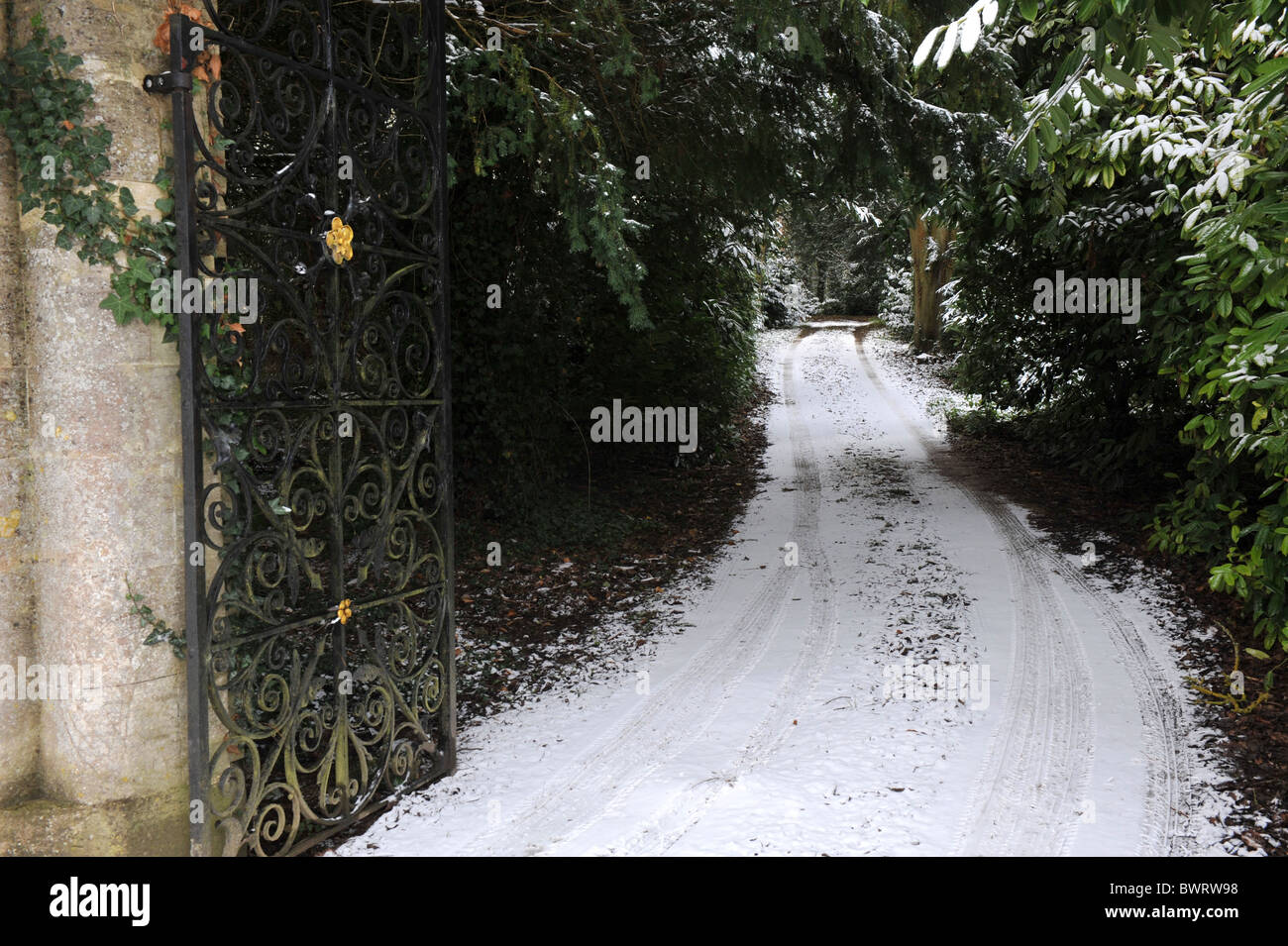 A lane through the snow Stock Photo - Alamy