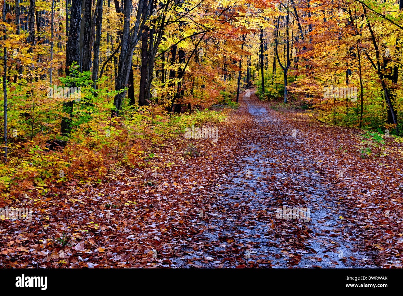 Pathway peninsula hi-res stock photography and images - Alamy