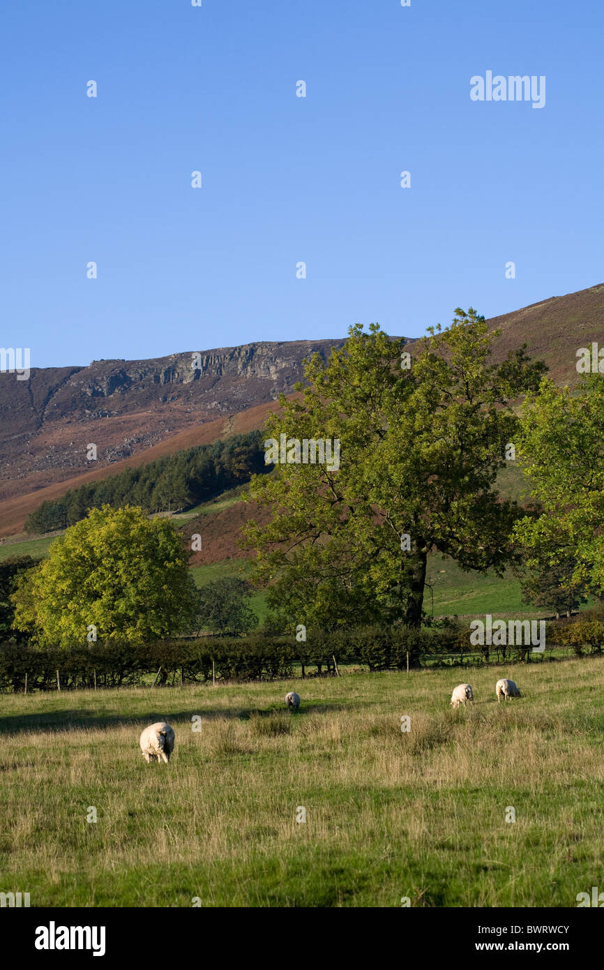 The Nab and Nether Tor Kinder Scout Southern Edge Edale Peak District ...