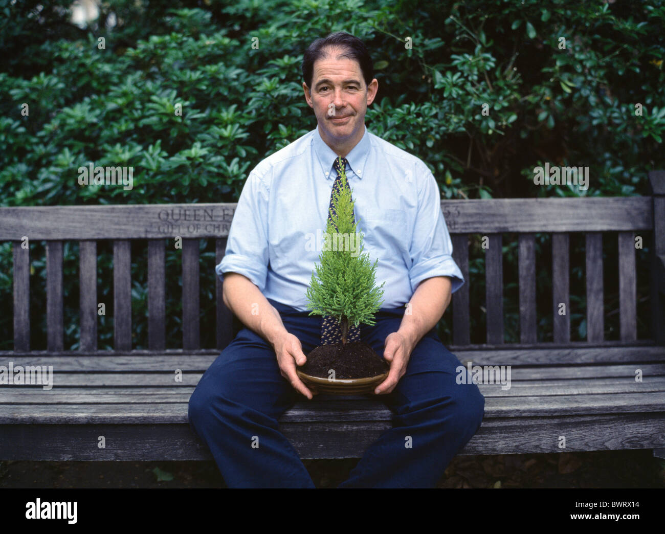 A portrait of Jonathon Porritt holding a miniature evergreen tree Stock ...