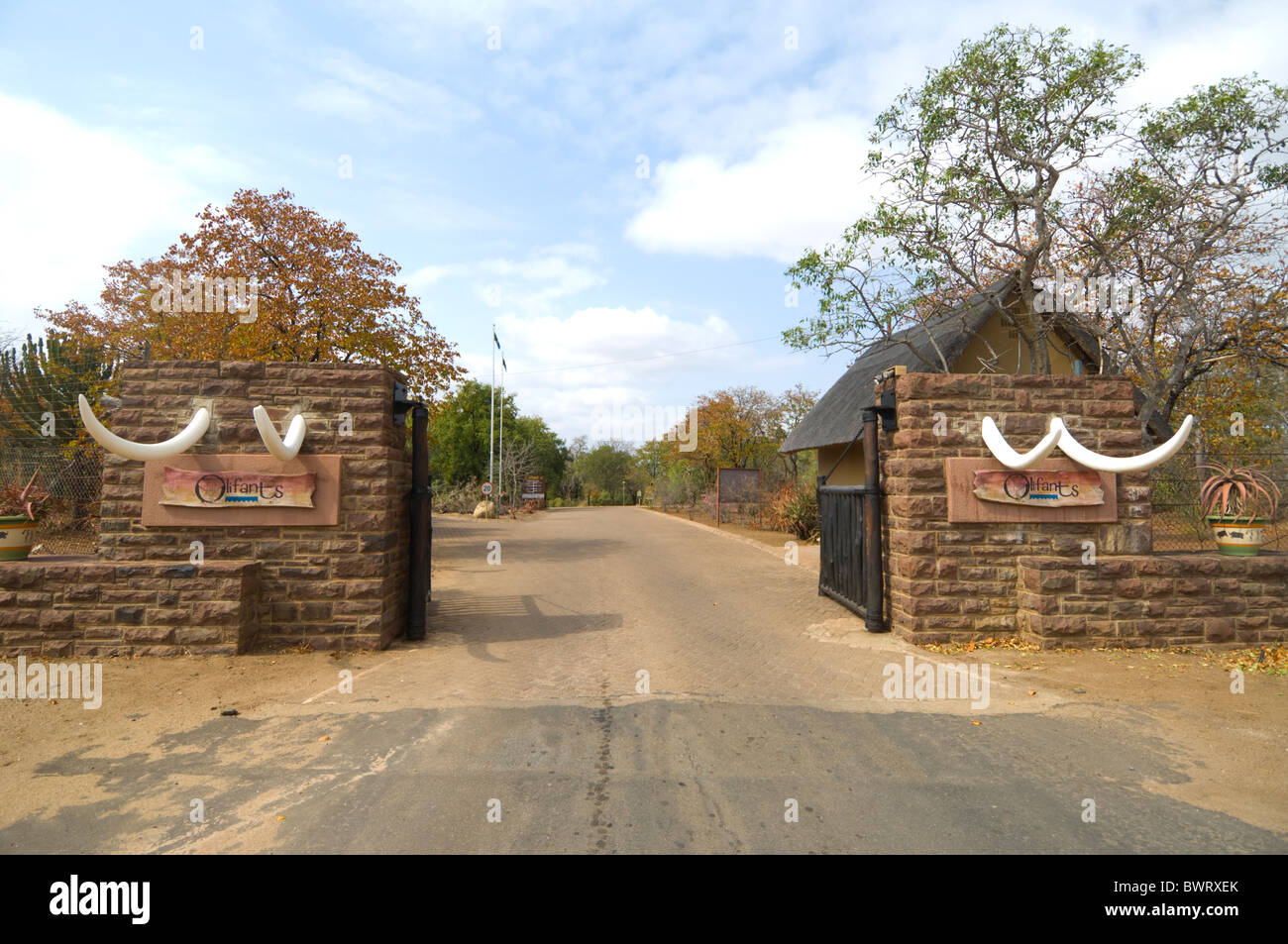 Olifants camp south africa hi-res stock photography and images - Alamy
