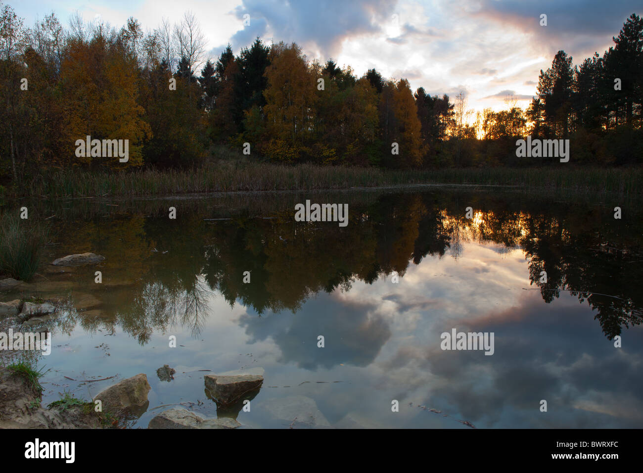 Bourne woods hi-res stock photography and images - Alamy