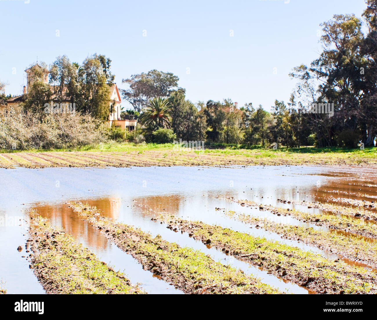 Ruined crops hi-res stock photography and images - Alamy