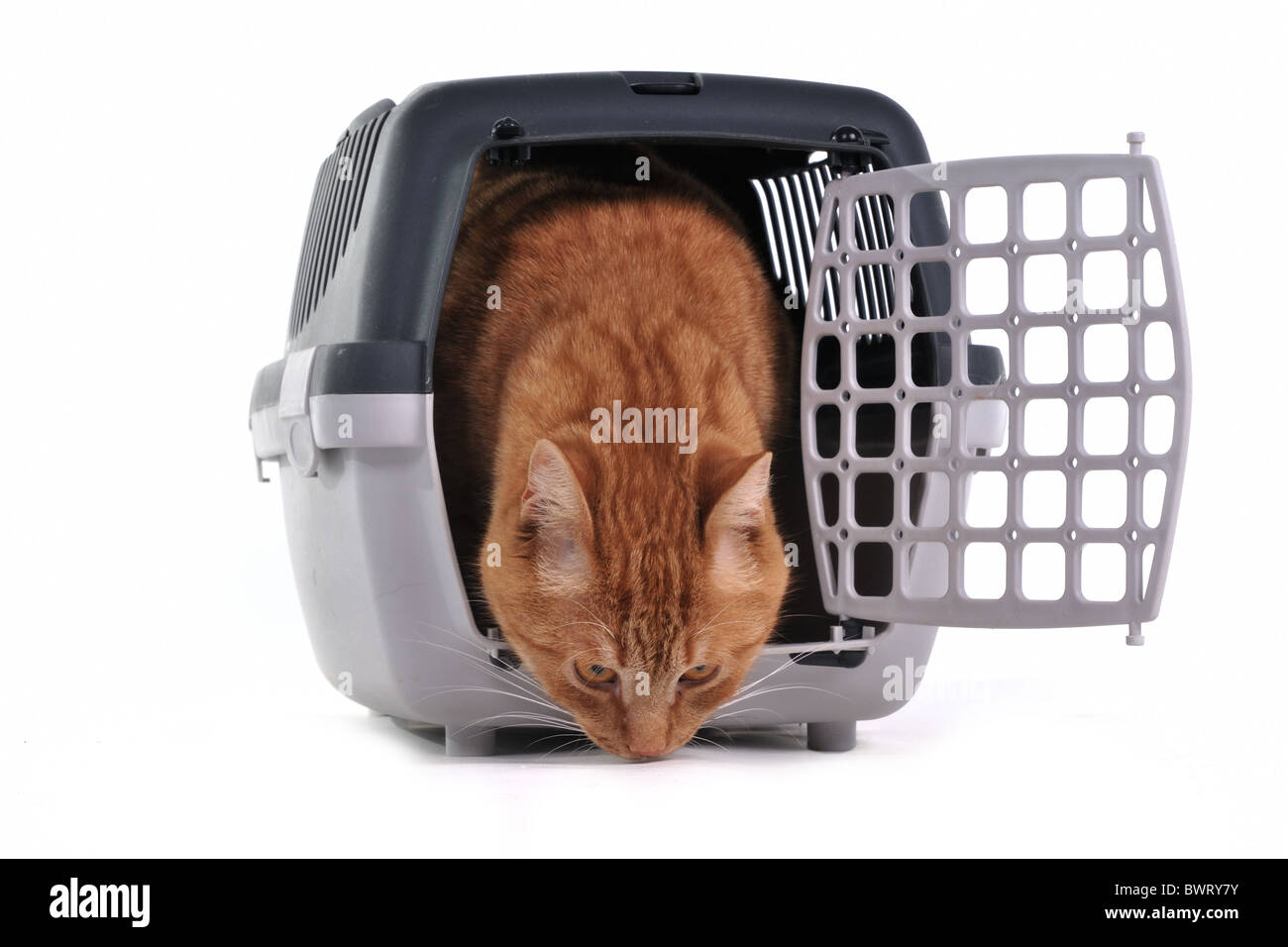 The lost place Cut Out Stock Images & Pictures - Alamy