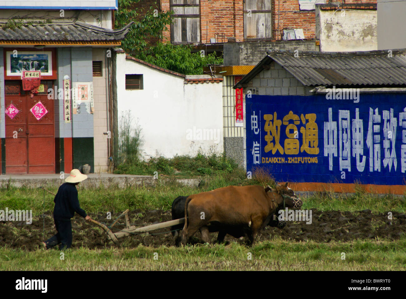 Farmer plowing field hi-res stock photography and images - Alamy