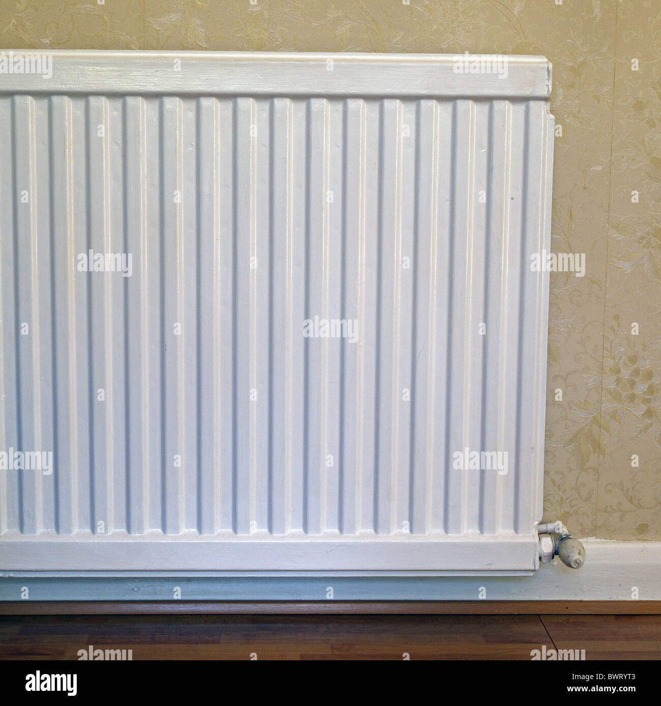White Painted Domestic Metal Radiator forming part of a central heating ...