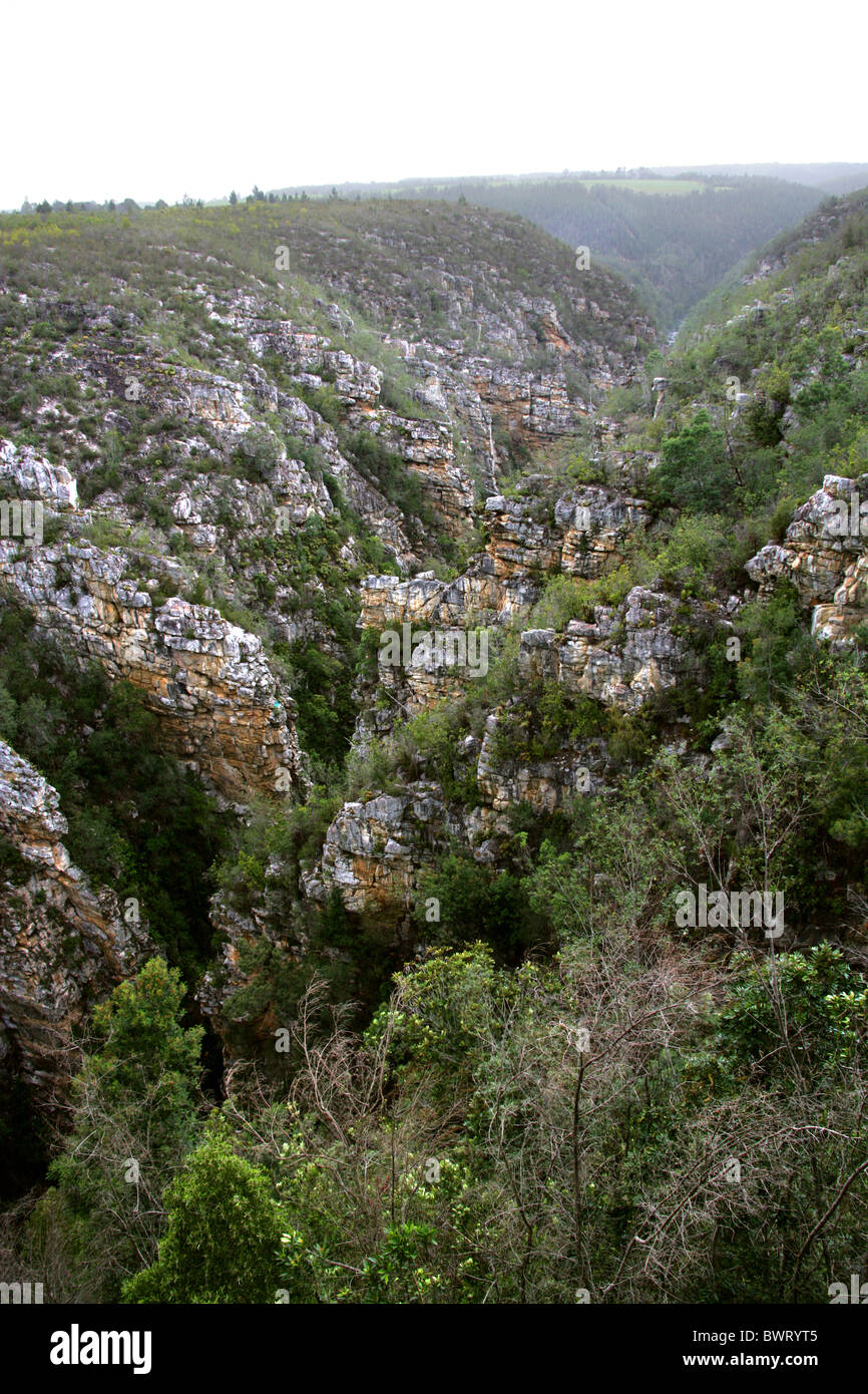 Bloukrans River Gorge from the Bloukrans Bridge, Tsitsikamma, South ...