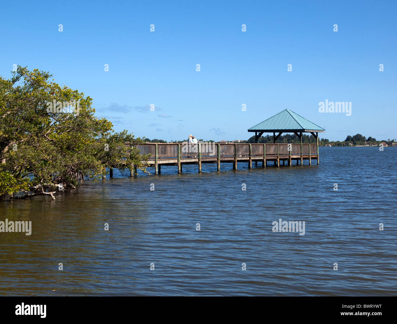 Florida fish hi-res stock photography and images - Alamy