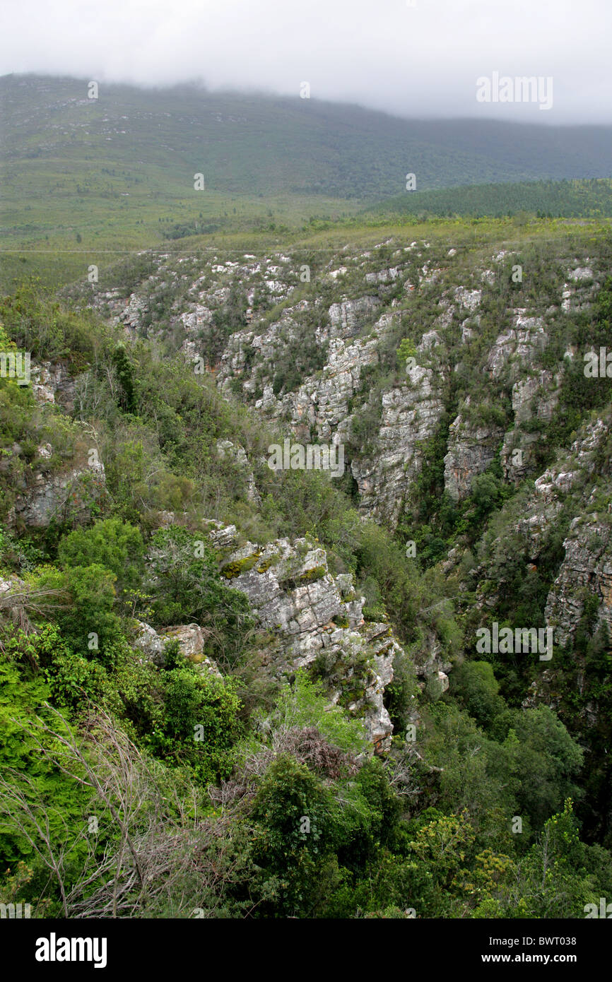 Bloukrans River Gorge from the Bloukrans Bridge, Tsitsikamma, South ...