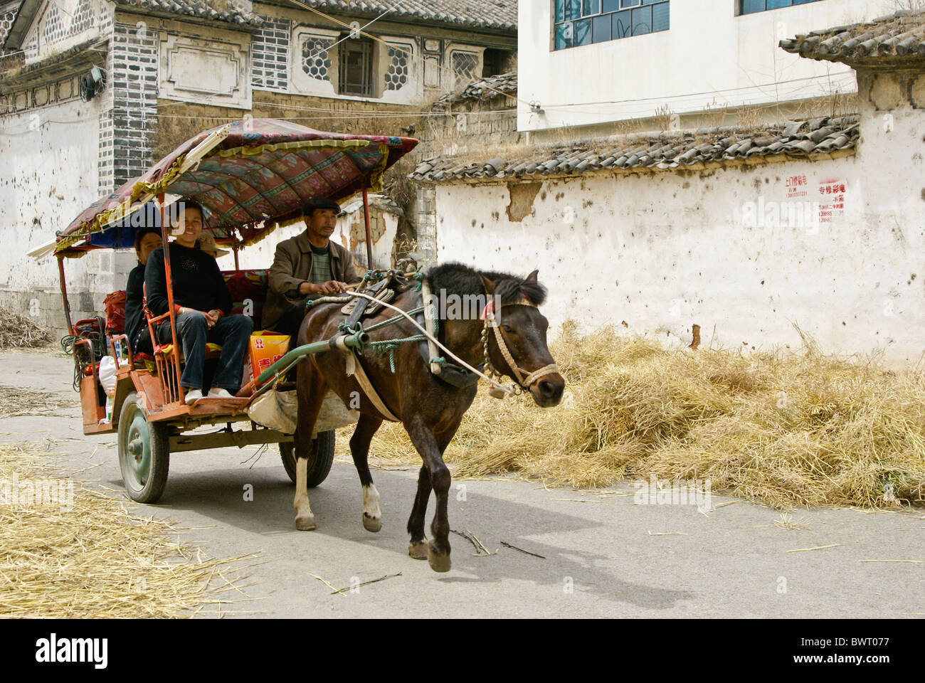 Horse cart taxi on street of Xizhou, Yunnan, China Stock Photo - Alamy