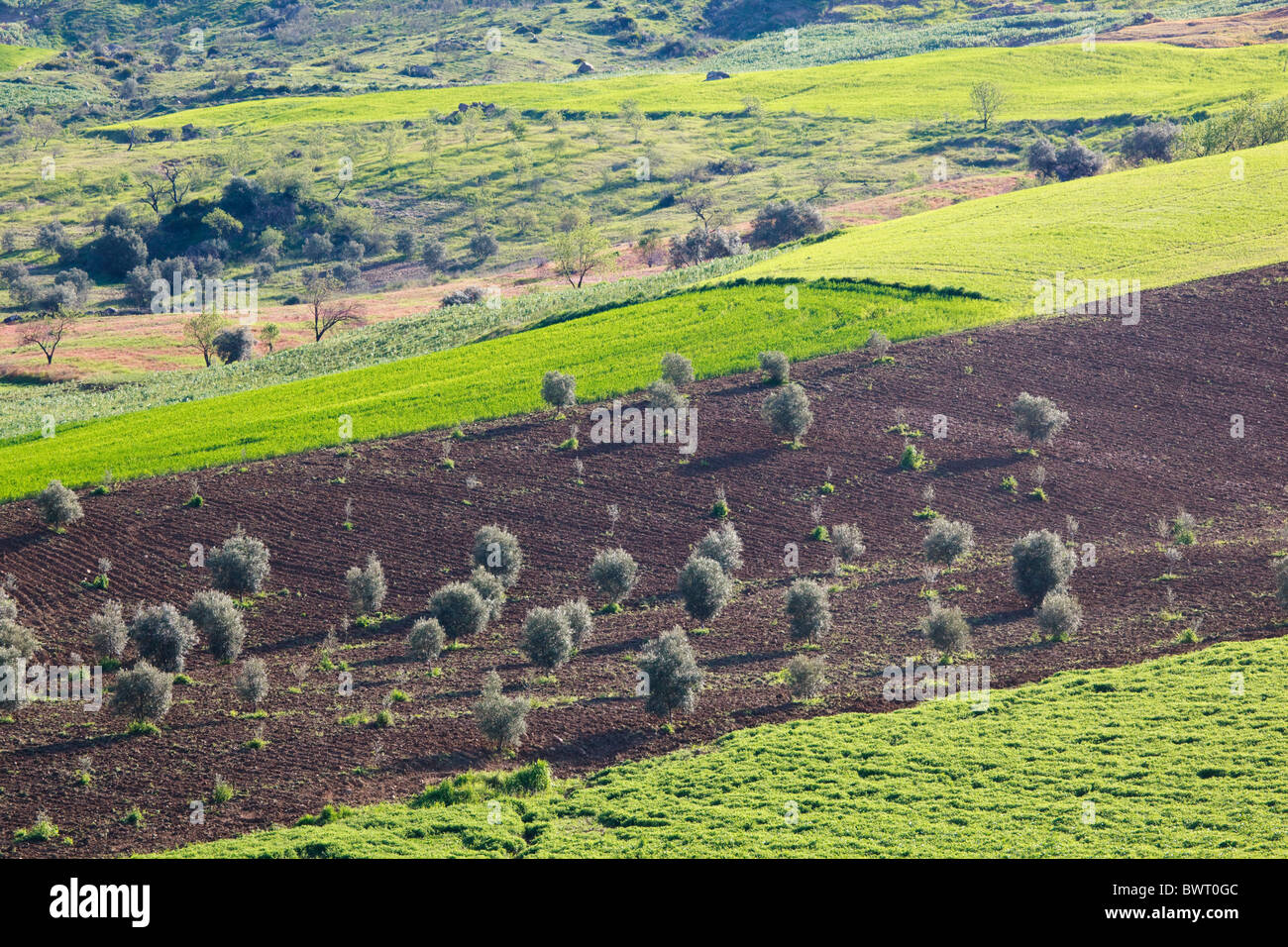 Malaga landscape countryside spring hi-res stock photography and images ...