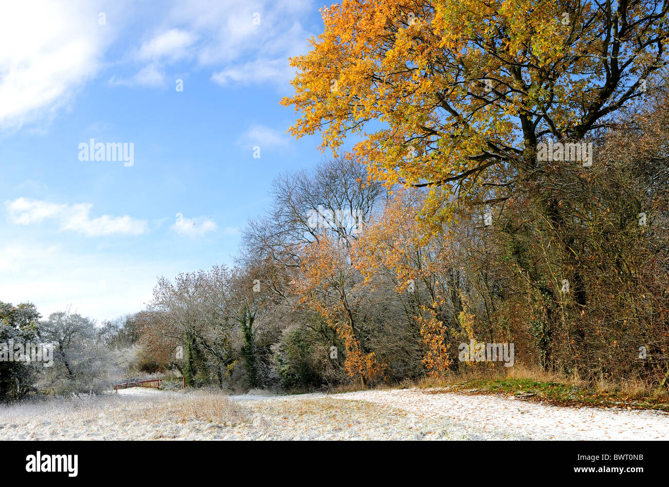 Nottinghamshire landscapes hi-res stock photography and images - Alamy