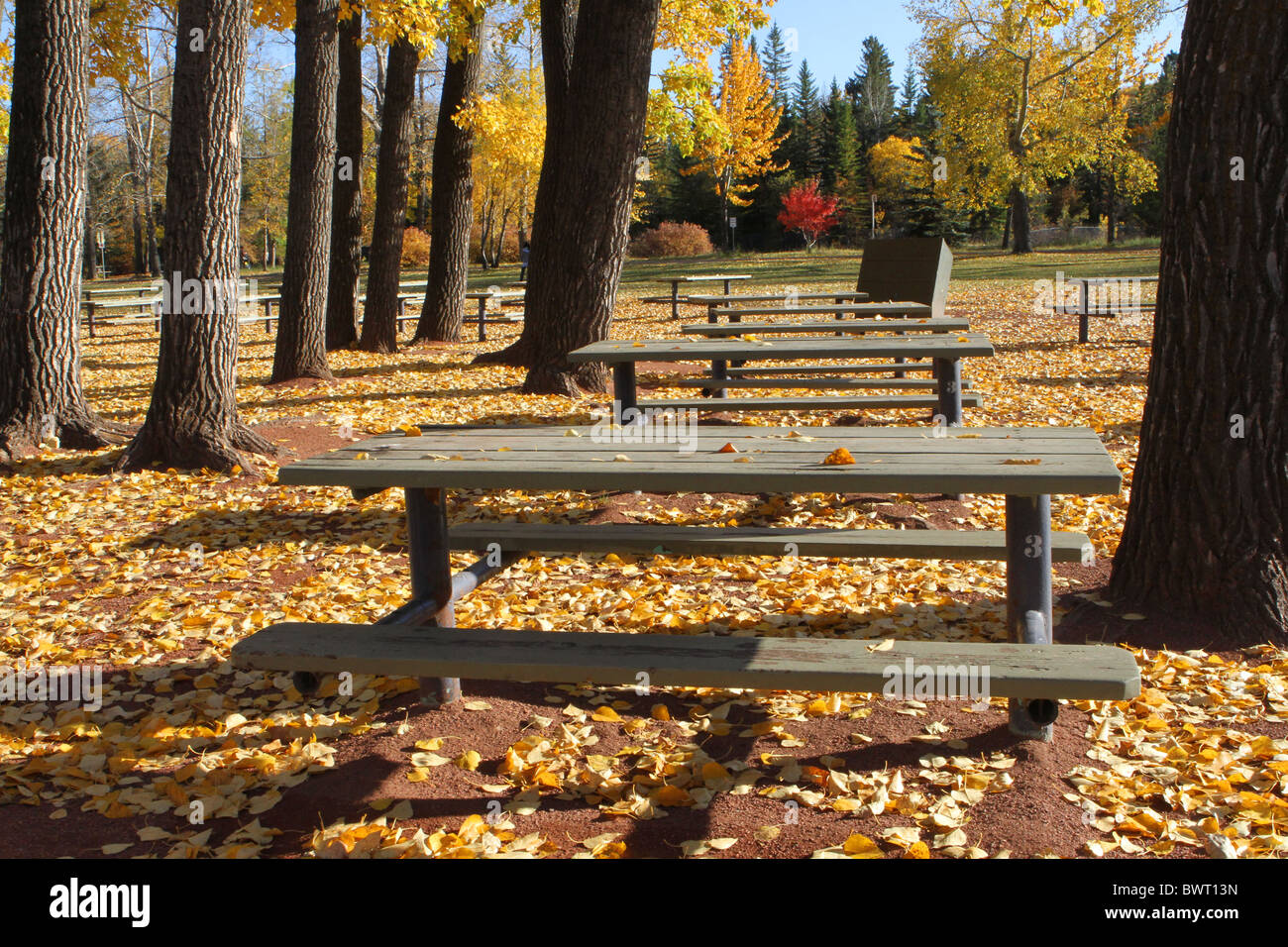 Autumn colours and park benches and picnic tables in the park Stock ...